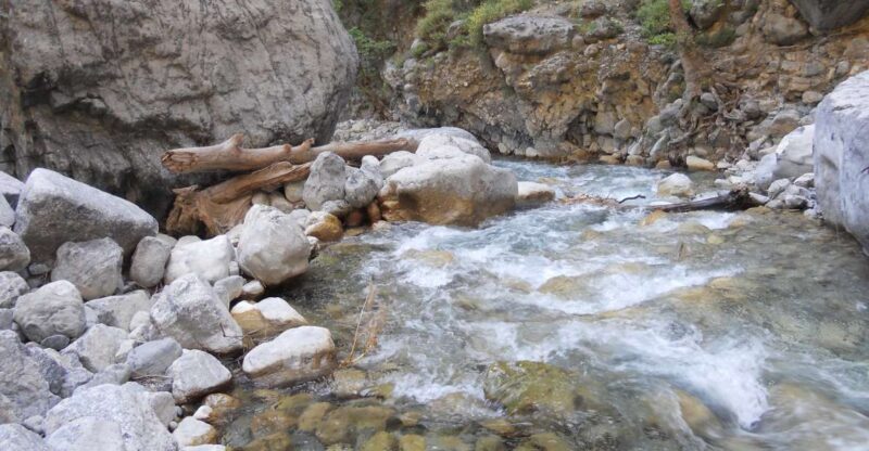 From Agia Galini/Matala: Samaria Gorge Hiking Tour - Authentic Feedback from Travelers