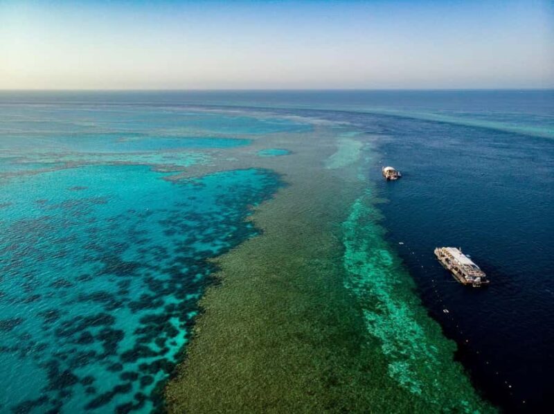 From Airlie Beach: Great Barrier Reef Adventure Cruise - Key Points