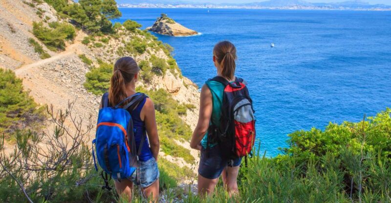 From Aix: Cassis Boat Ride & Provence Wine Tasting Day Tour - What to Expect Overall