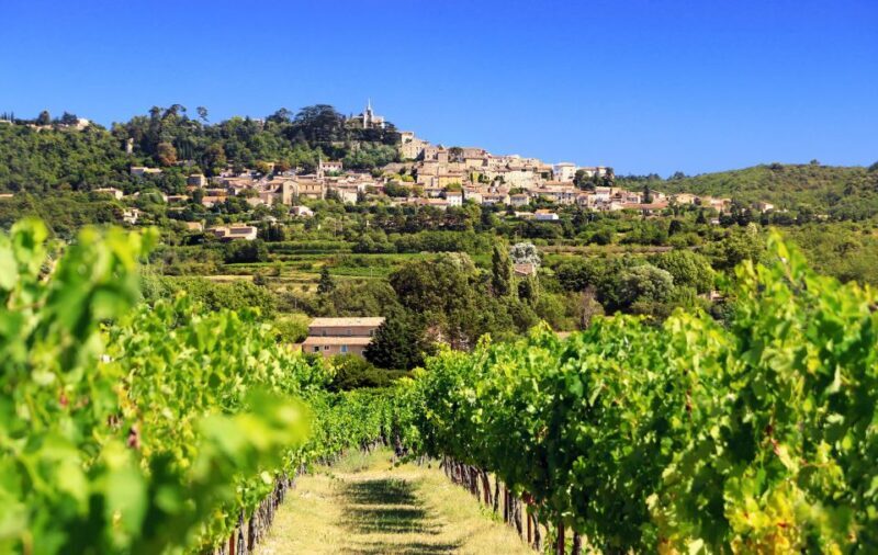 From Aix-en-Provence: Half-Day Wine Tour - Key Points