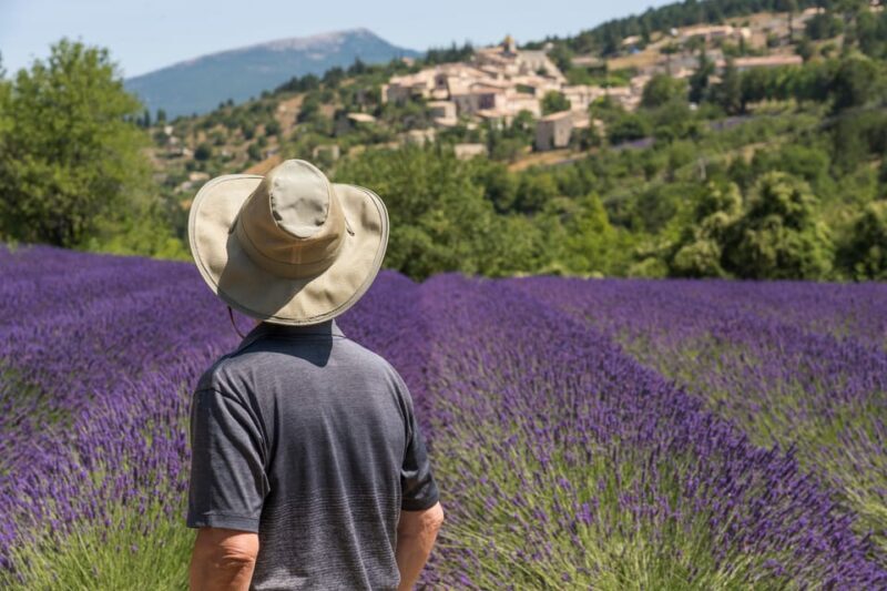 From Aix-en-Provence: Sault Lavender & Gordes Full-Day Tour - What to Expect from the Tour