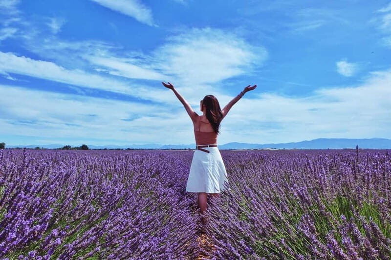From Aix-en-Provence : Sunset Lavender Tour in Valensole - A Closer Look at the Tour Experience