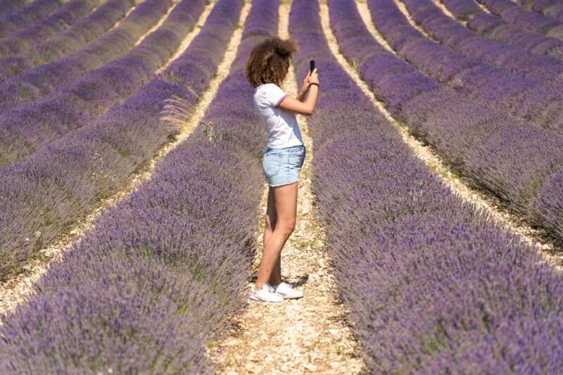 From Aix-en-Provence : Sunset Lavender Tour in Valensole - Final Thoughts