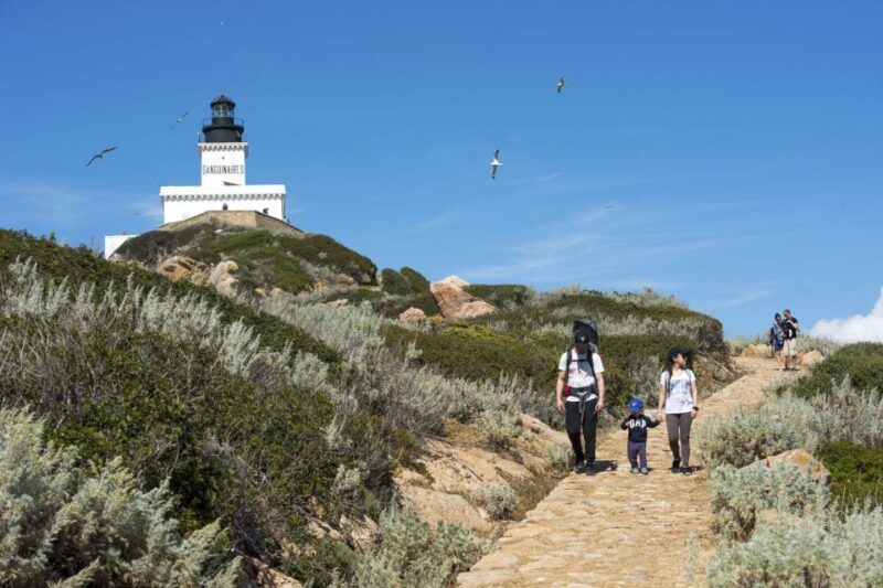 From Ajaccio/Porticcio:Ajaccio & Sanguinaires Gulf Boat Tour - A Deep Dive into the Experience