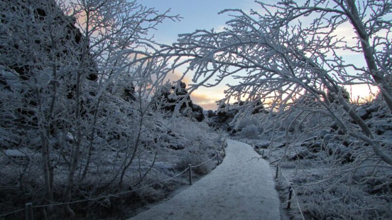 From Akureyri: Godafoss and Lake Myvatn - Authentic Insights from Reviewers