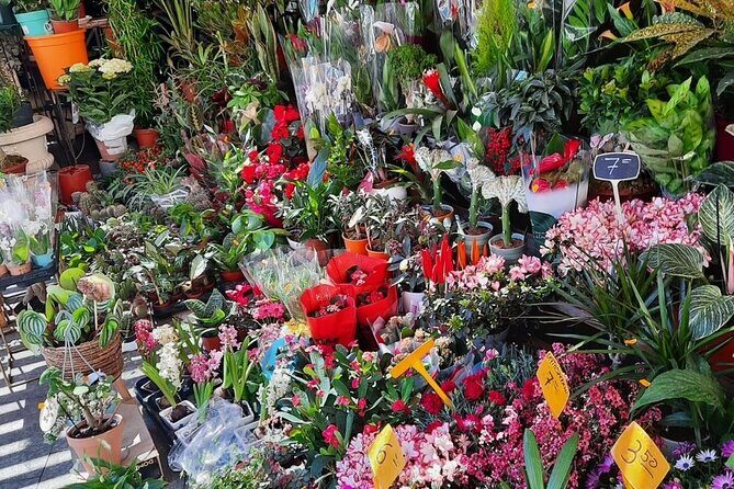 From Albir & Benidorm, Alicante Discovery day trip - FAQs