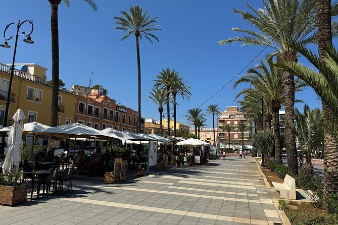 From Albir, Benidorm & Calpe: Denia & Mediterranean Gardens Trip - Overview of the Denia & Mediterranean Gardens Trip
