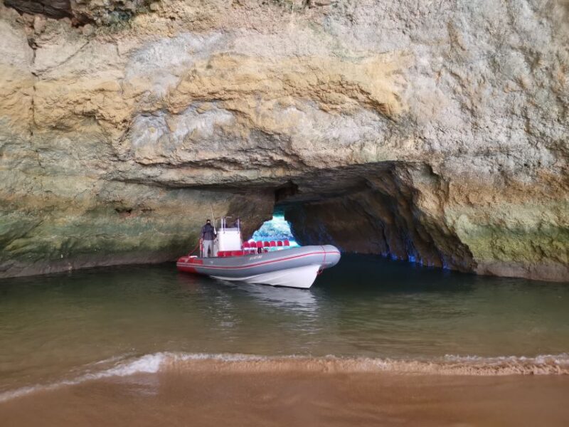 From Albufeira: Benagil Caves and Dolphins Guided Boat Tour - Key Points