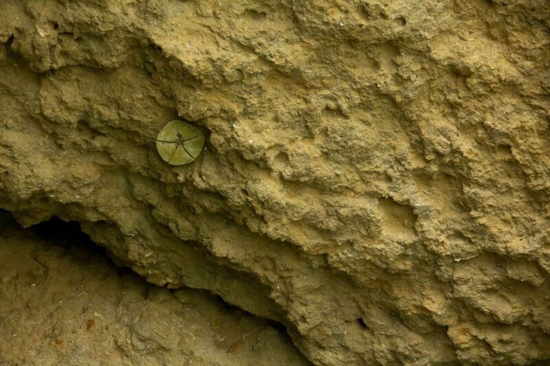 From Albufeira: Benagil Caves Excursion by Boat Private - Navigating the Cave System  