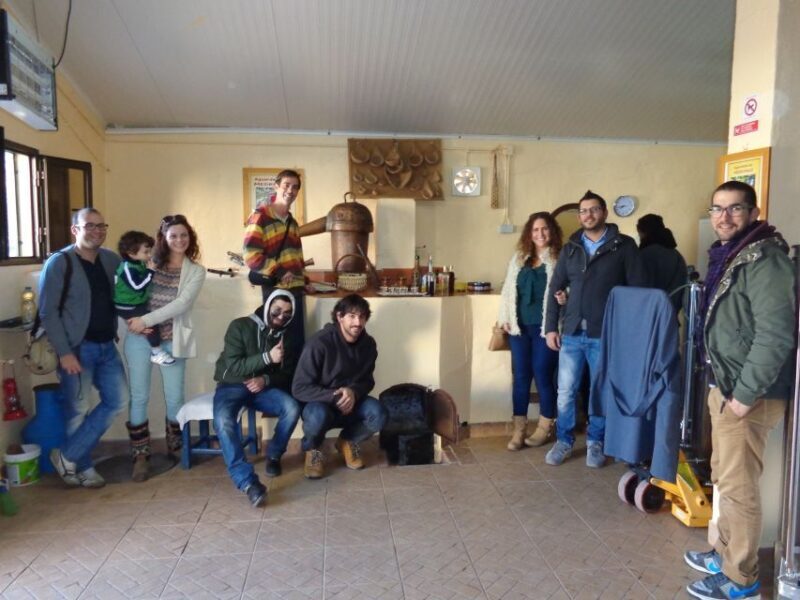 From Albufeira: Half-Day Algarve Jeep Safari - The Experience, from the Guides to the Scenery