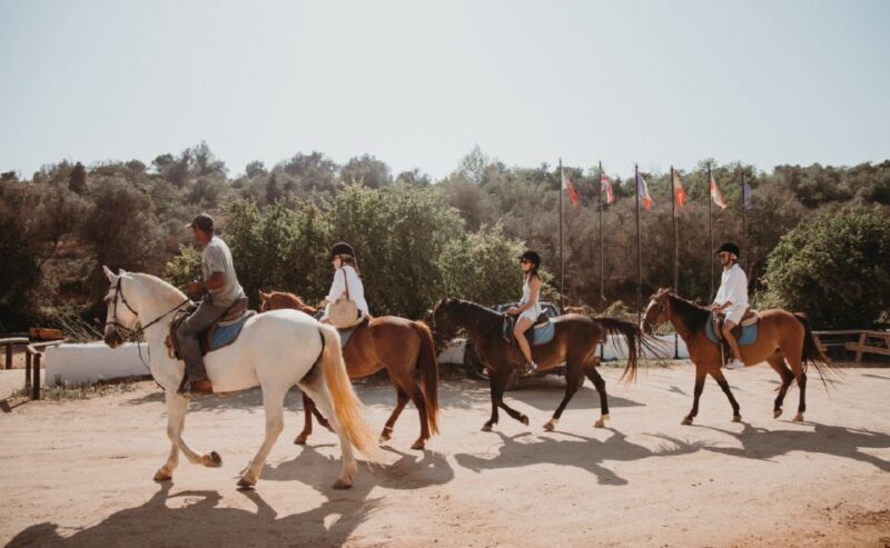 From Albufeira: Half-Day Hidden Gems & Horse Riding Tour - FAQ