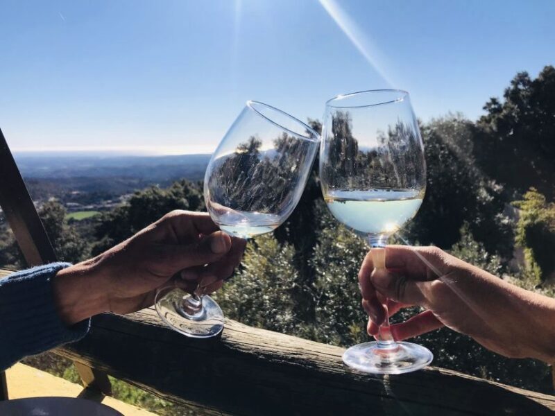 From Albufeira: Wine Tasting & Historic Silves Tour - A Full Breakdown of the Experience