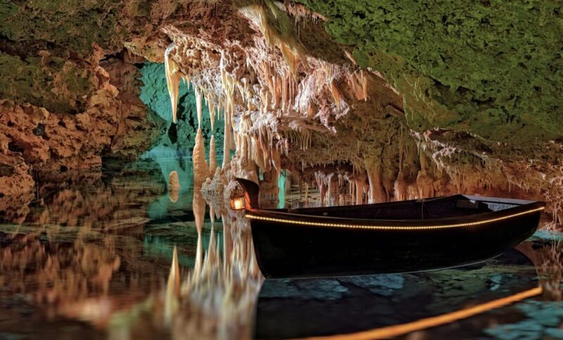 From Alcúdia: Dinosaurland and Hams' Caves Half-Day Trip - Who Should Consider This Tour?