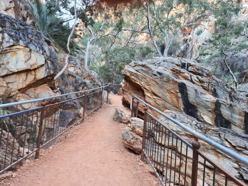 From Alice Spring: West MacDonnell Ranges Half-Day Tour - Exploring the Itinerary: What You Can Expect