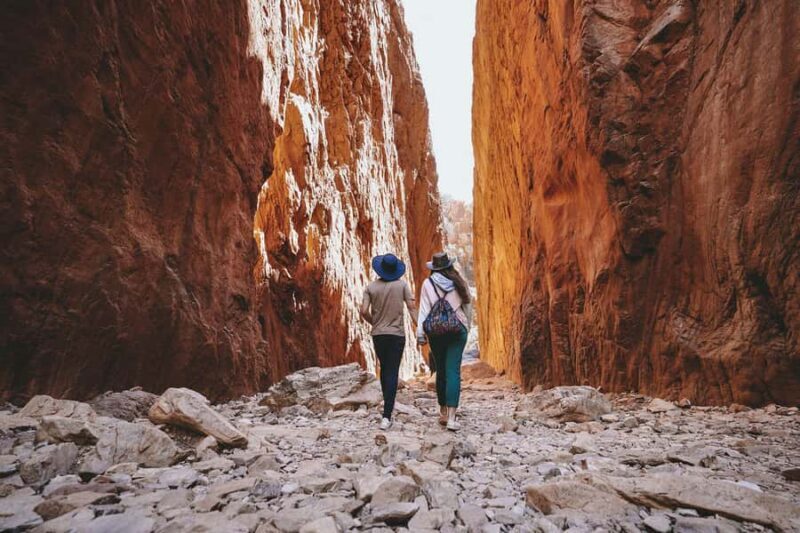 From Alice Springs: Half Day West MacDonnell Ranges Tour - The Experience: What to Expect During the Tour  