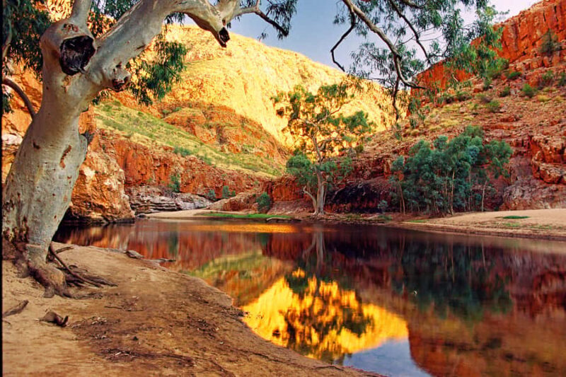 From Alice Springs: West MacDonnell Ranges Day Trip - Guides: Knowledgeable and Engaging