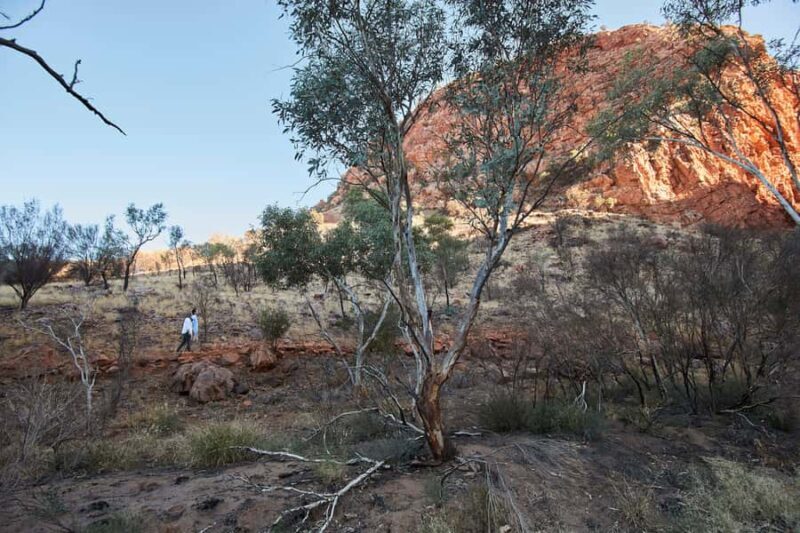 From Alice Springs: West MacDonnell Ranges Half Day Trip - Key Points