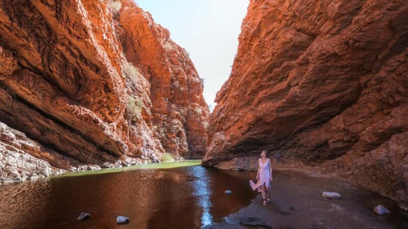From Alice Springs: West MacDonnell Ranges Half Day Trip - An In-Depth Look at the Tour Itinerary