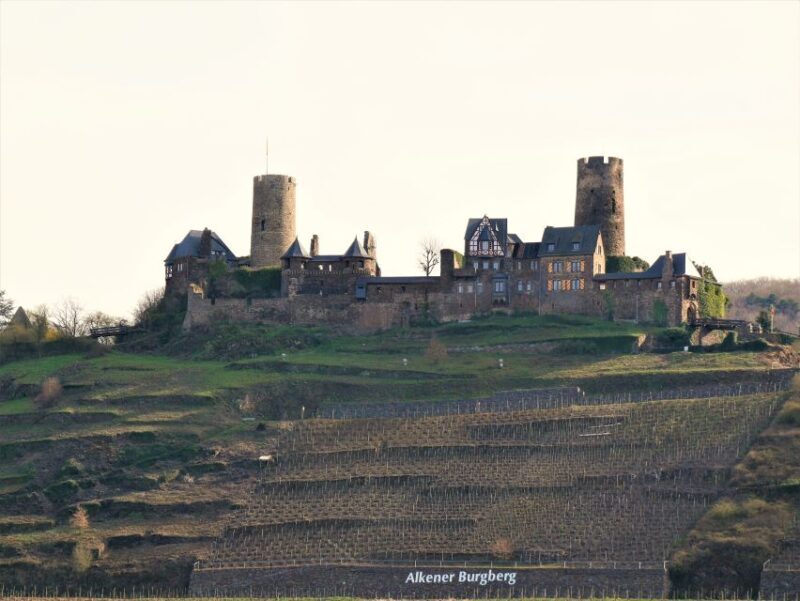 From Alken: Moselle Valley Sightseeing Cruise - Key Points