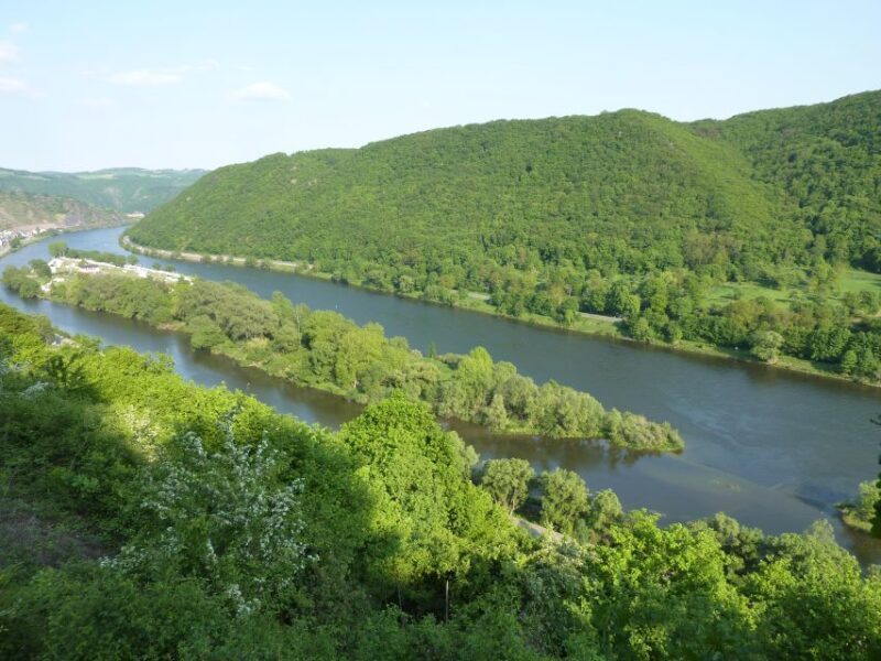 From Alken: Moselle Valley Sightseeing Cruise - Practical Details and Tips