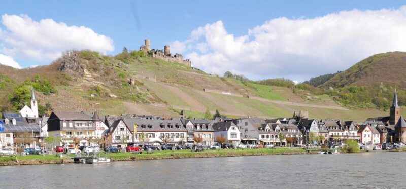 From Alken: Moselle Valley Sightseeing Cruise - The Sum Up