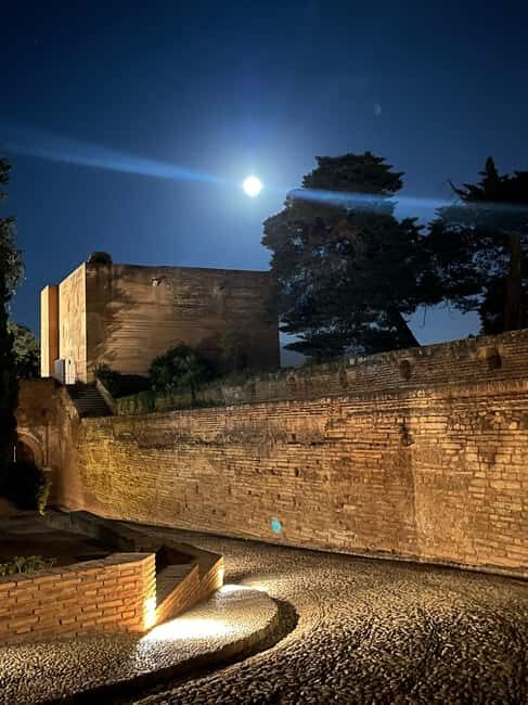 From Almuñécar: Granada Day Trip with Alhambra and Cathedral - What’s Included and What’s Not