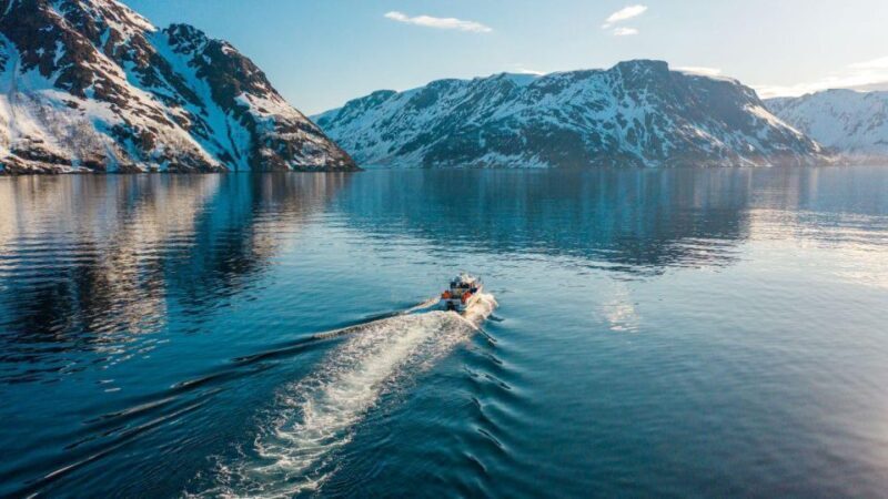 From Alta: Adventure Cruise in Alta Fjord - From Alta: Adventure Cruise in Alta Fjord – A Genuine Exploration of Norway’s Coastal Beauty