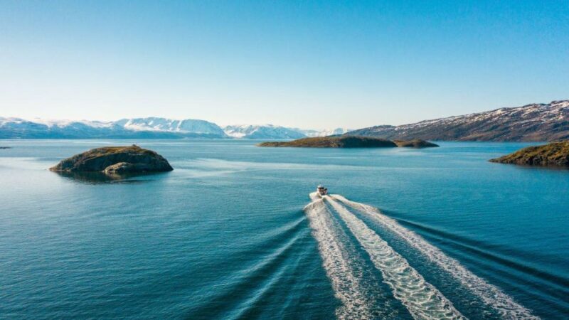 From Alta: Adventure Cruise in Alta Fjord - An In-Depth Look at the Alta Fjord Adventure Cruise