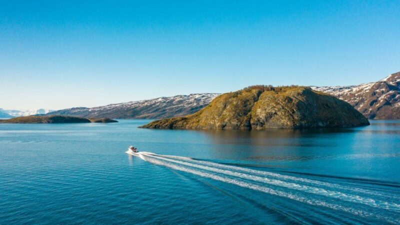 From Alta: Adventure Cruise in Alta Fjord - The Sum Up