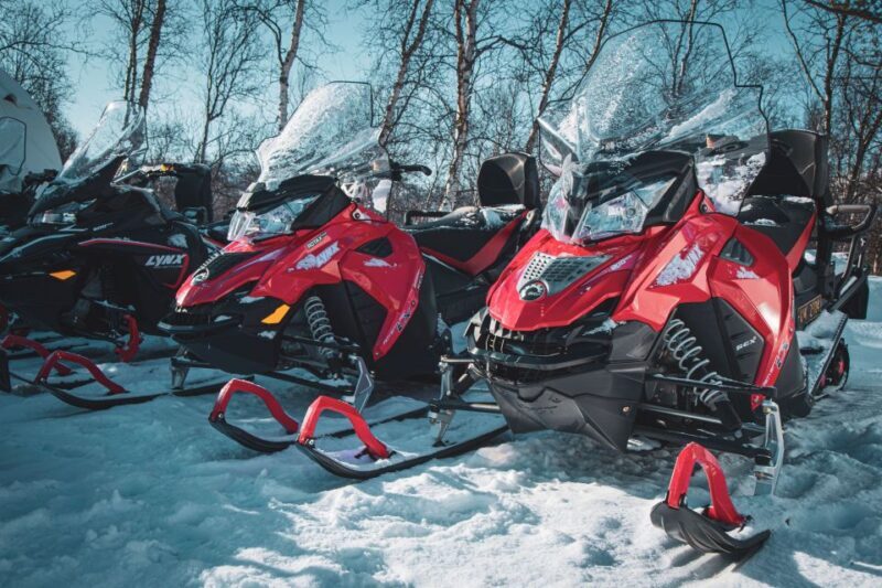 From Alta: Daytime Snowmobile Adventure - Key Points
