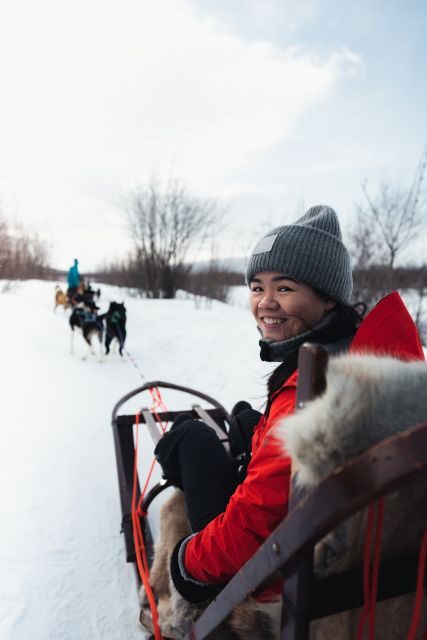 From Alta: Huskey Dog Sledding Tour - Key Points