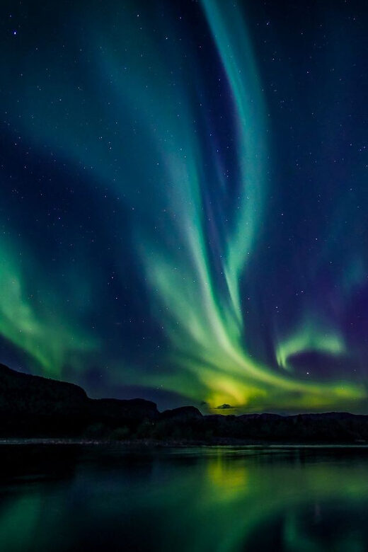 From Alta: Whale and Seabird Cruise - Key Points