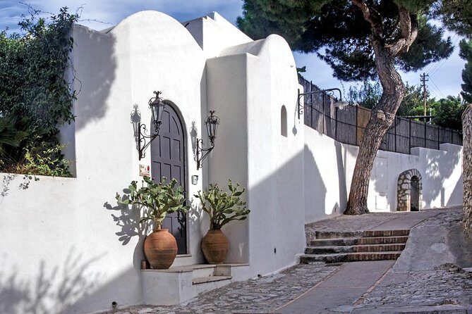 From Amalfi Coast: Capri & Anacapri guided tour by sea & by land - Introduction