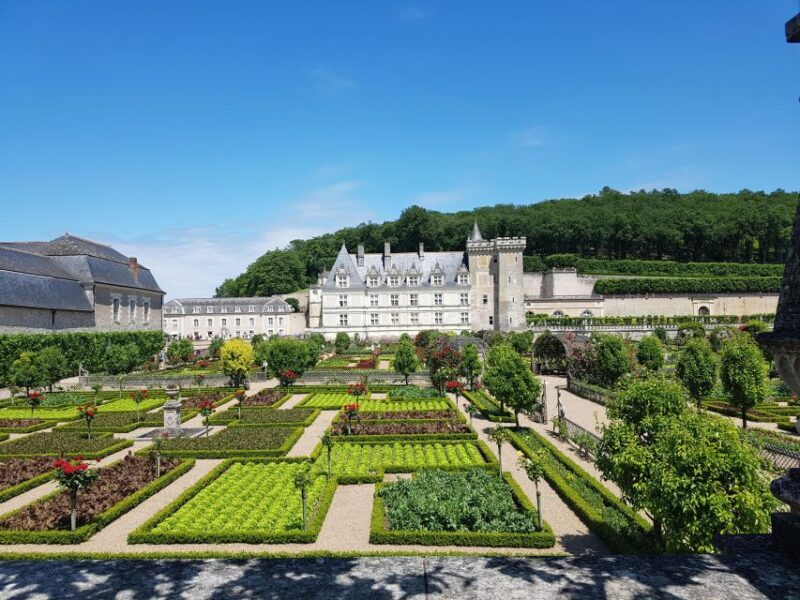 From Amboise: Villandry, Azay-le-Rideau & Local Wineries - Key Points