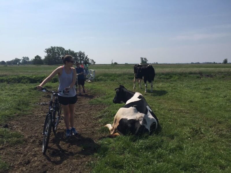 From Amsterdam: Countryside Bike Tour - From Amsterdam: Countryside Bike Tour — A Charming Escape from the City