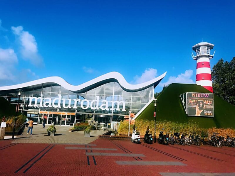 From Amsterdam: Day Tour to Rotterdam, Delft and The Hague - Key Points