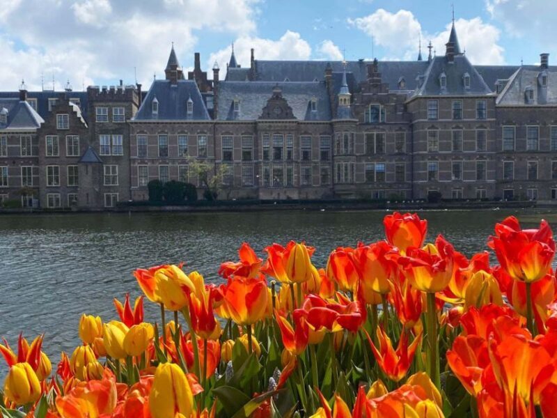 From Amsterdam: Guided Trip to Rotterdam, Delft & The Hague - Practical Tips and Considerations
