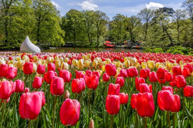 From Amsterdam: Keukenhof and Dutch Countryside Tour - Exploring the Itinerary in Detail