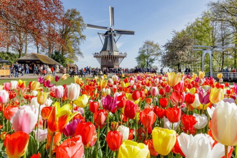 From Amsterdam: Keukenhof and Dutch Countryside Tour - Who Would Love This Tour?