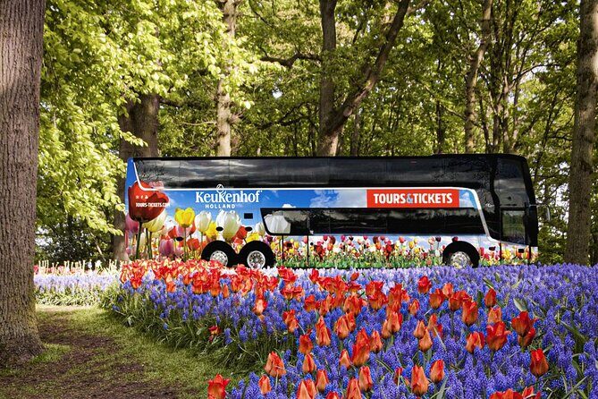 From Amsterdam: Keukenhof and Tulip Experience Tour - Who Will Love This Tour?