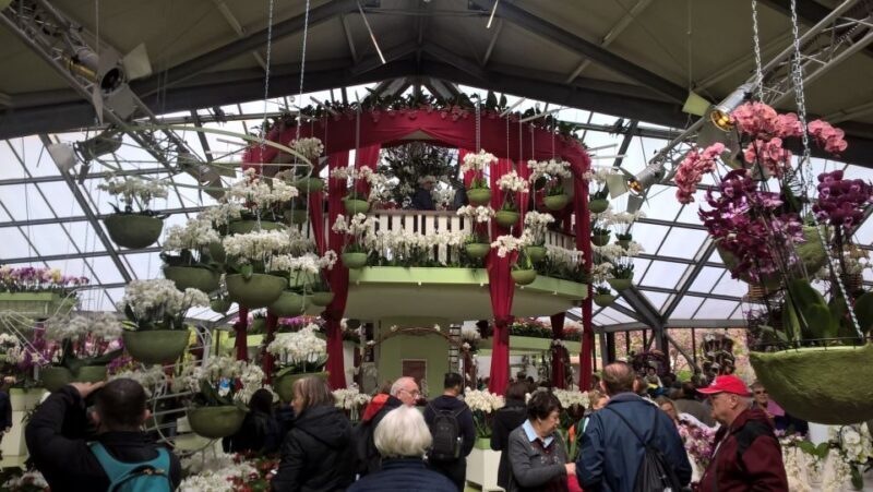 From Amsterdam: Keukenhof and Zaanse Schans Small Group Tour - Authentic Experiences and Traveler Insights