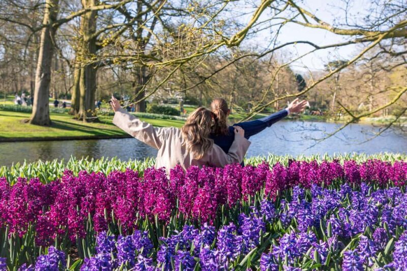 From Amsterdam: Keukenhof Ticket with Transfer - Key Points