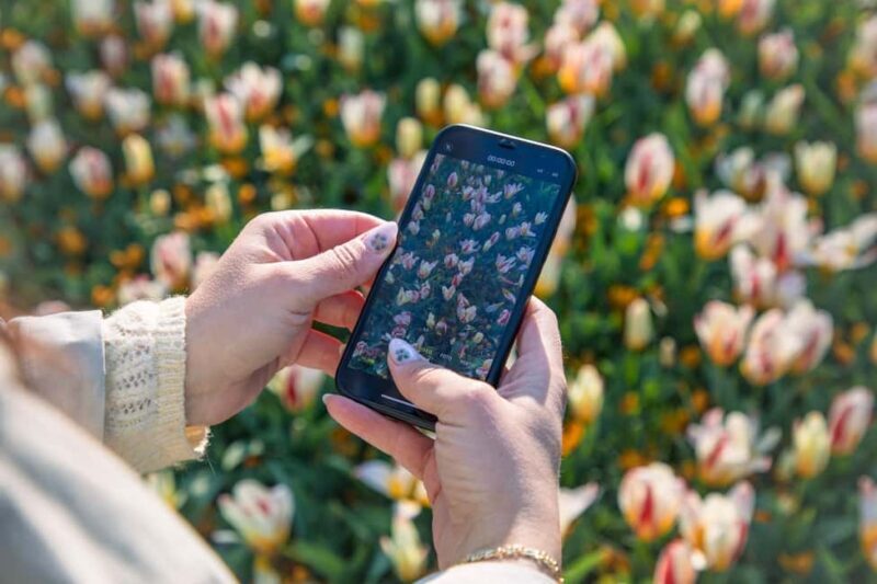 From Amsterdam: Keukenhof Ticket with Transfer - FAQs