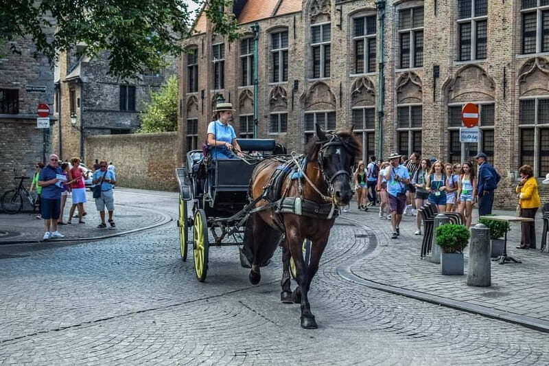 From Amsterdam: Private Sightseeing Tour to Bruges - Who Should Book This Tour?