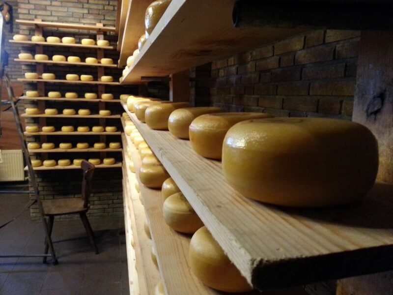 From Amsterdam: Windmills of Zaanse Schans Tour - Key Points