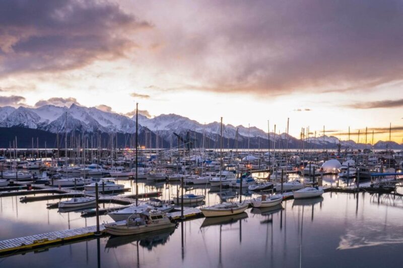 From Anchorage: 4-Day Seward and Kenai Camping & Hiking Tour - Practical Considerations and Value