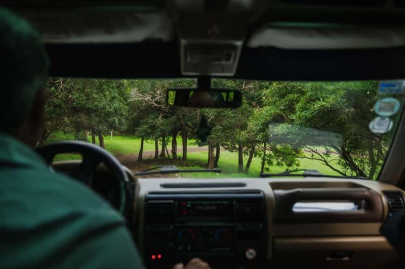 From Angra: Terceira Island Full-Day Jeep Tour - Discover the Heart of Terceira Island with a Full-Day Jeep Tour from Angra do Heroísmo