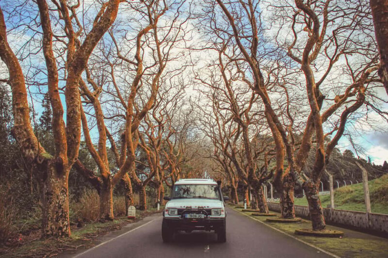 From Angra: Terceira Island Full-Day Jeep Tour - FAQs