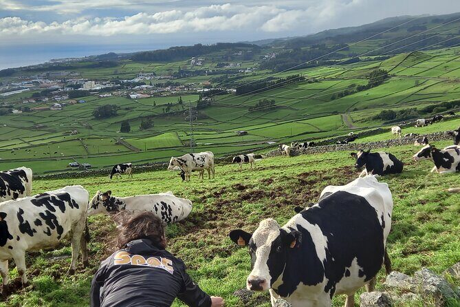 From Angra: Terceira Island Half-Day Tour (Private) - Key Points  