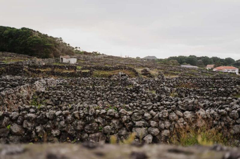 From Angra: Terceira Island Half-Day Tour - FAQ